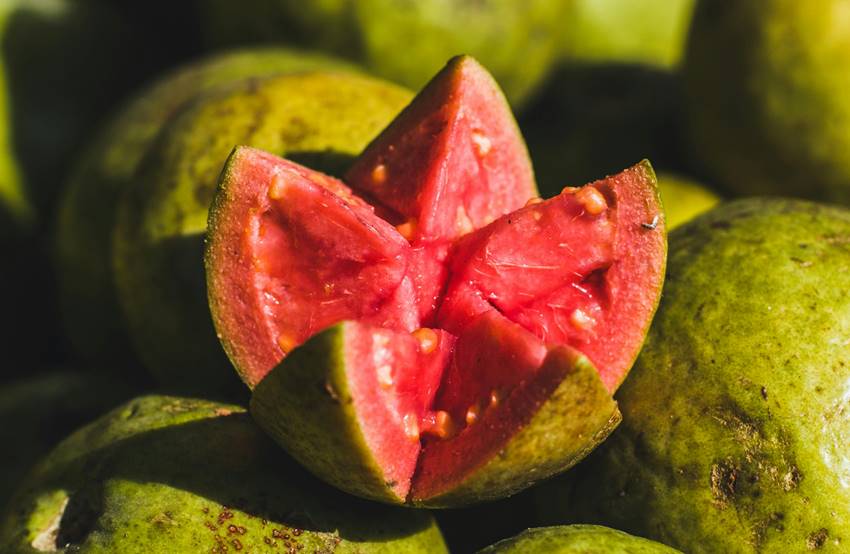 10 benefits of eating red guava daily लाल अमरूद के नहीं जानते होंगे ...