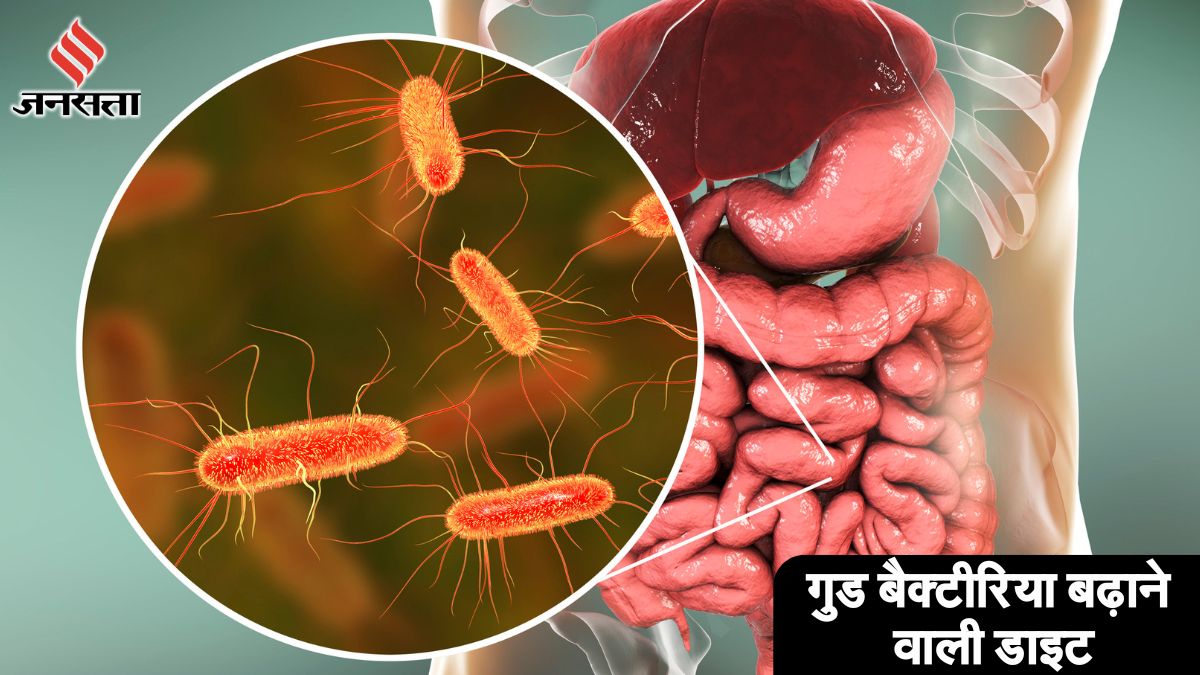 ये 4 फूड खाएंगे तो गट में खदबदाने लगेंगे बीमारी फैलाने वाले Bacteria ...