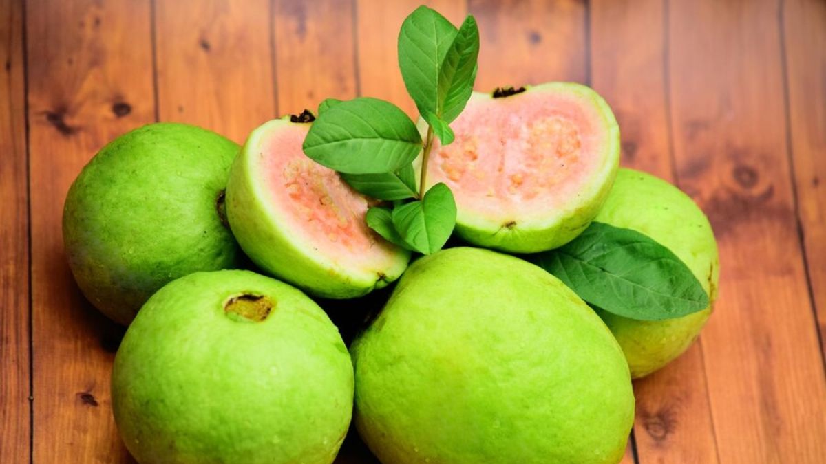 Guava Face Pack , Anti Aging Skin Care | Jansatta