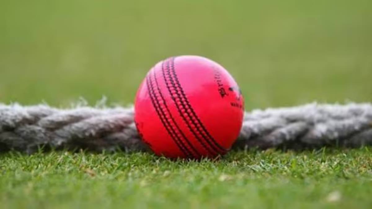 India Pink Ball Test record Most runs wickets high scores IND vs AUS ...