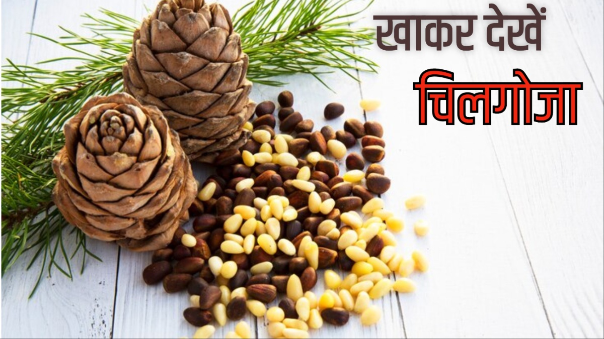 Chilgoza: चिलगोजा कब और कैसे खाना चाहिए? जानें क्यों है ये सुपरफूड ...