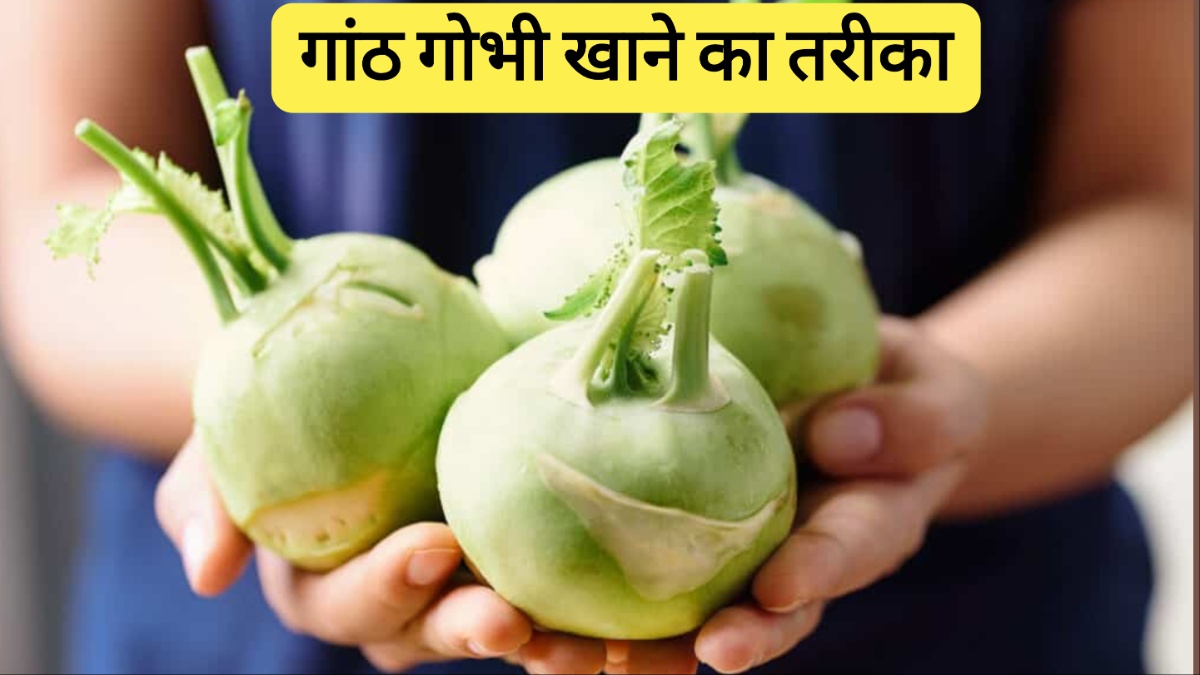 गांठ गोभी कैसे खाते हैं? नहीं पता है तो जान लें इसकी 3 रेसिपी और जरूर ...