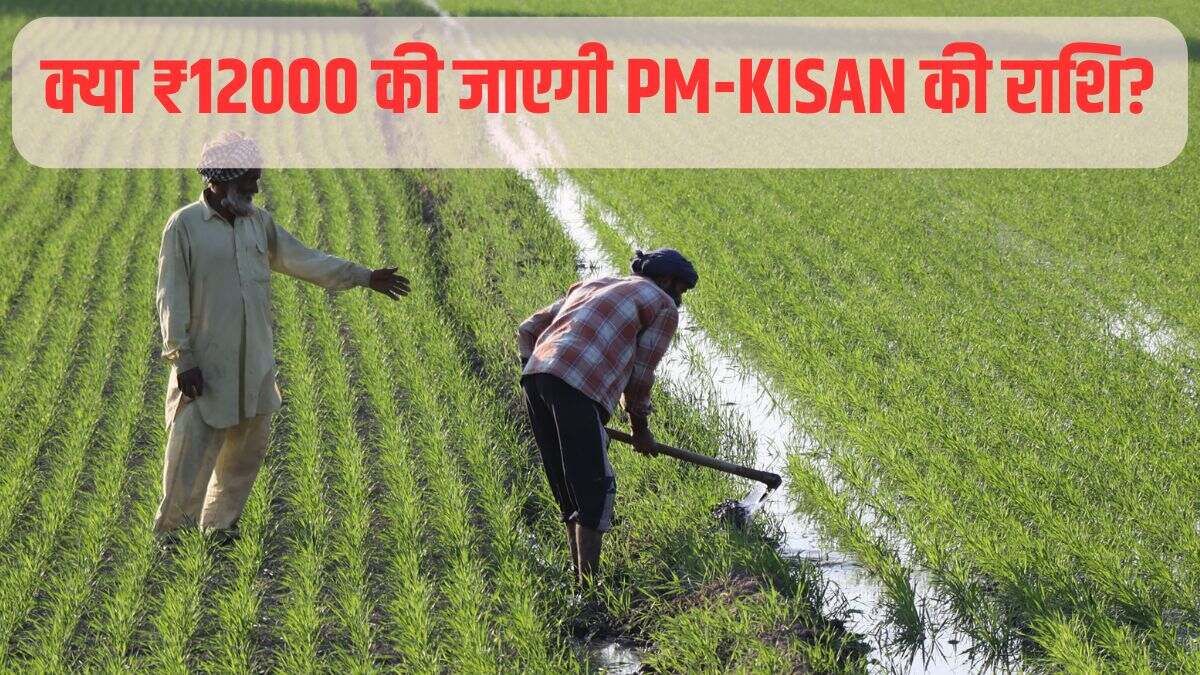 PM Kisan Payout PM KISAN SAMMAN NIDHI 12000 MSP on Crops parliamentary ...