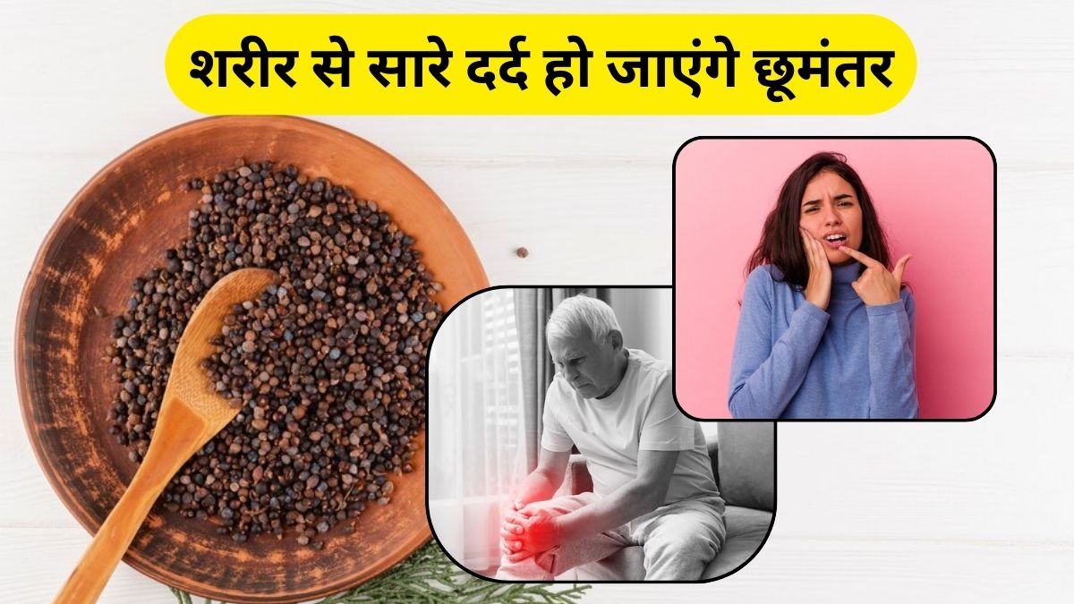 मुंह की बदबू से लेकर गठिया का दर्द सब छूमंतर कर देगा ये बीज, बस इस तरह ...