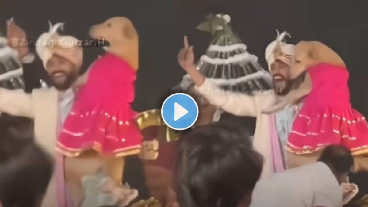 groom viral video he is dancing with pet dog at his wedding netizens hearts melted -दूल्हे ने ...