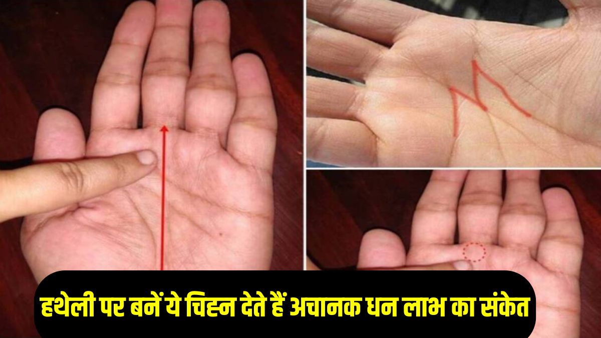 Palmistry: हाथ में हो ऐसे 5 चिह्न तो व्यक्ति बनता है अतिधनवान और बड़ा ...