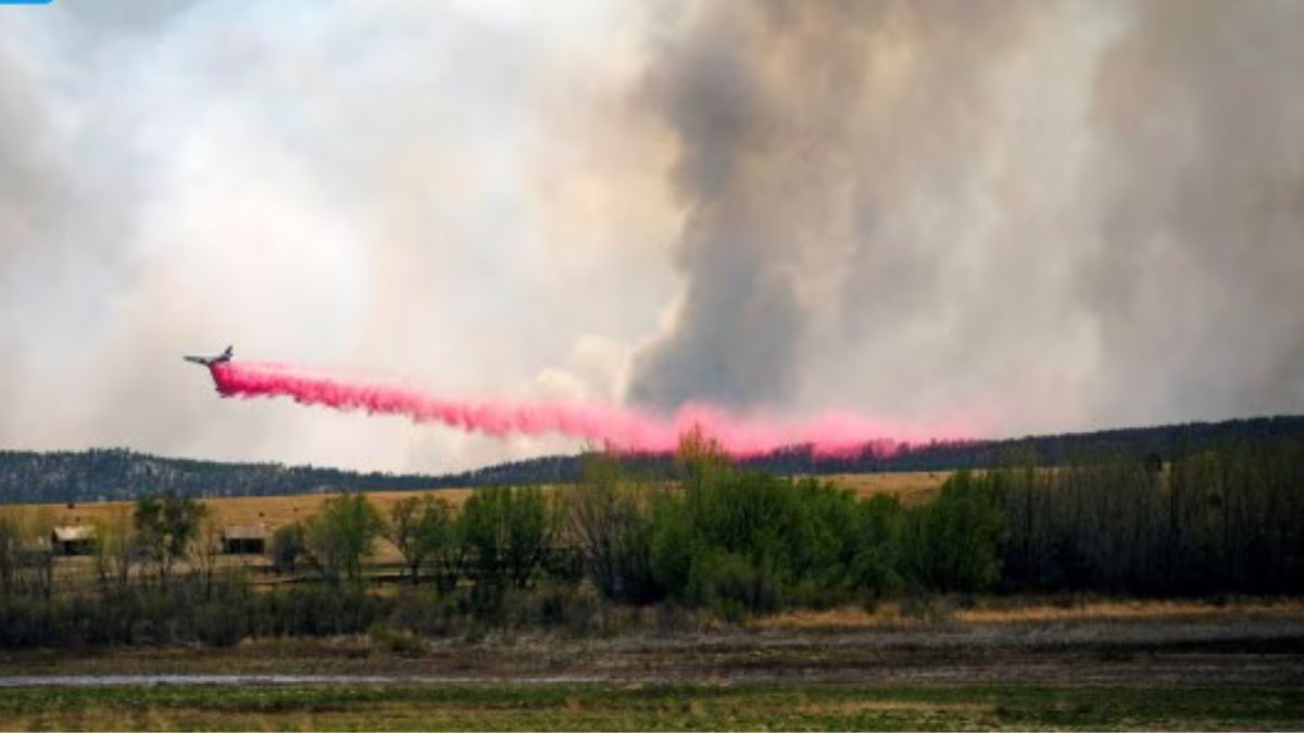 fire in Los Angeles California Pink Fire Retardant technology American ...
