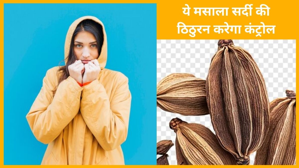 बहुत ठंड लगती है तो बड़ी इलायची खाएं, पाचन के लिए अमृत है 1 दाना ...