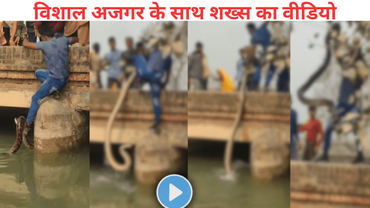 python viral video shows man pulling out enormous snake from river ...