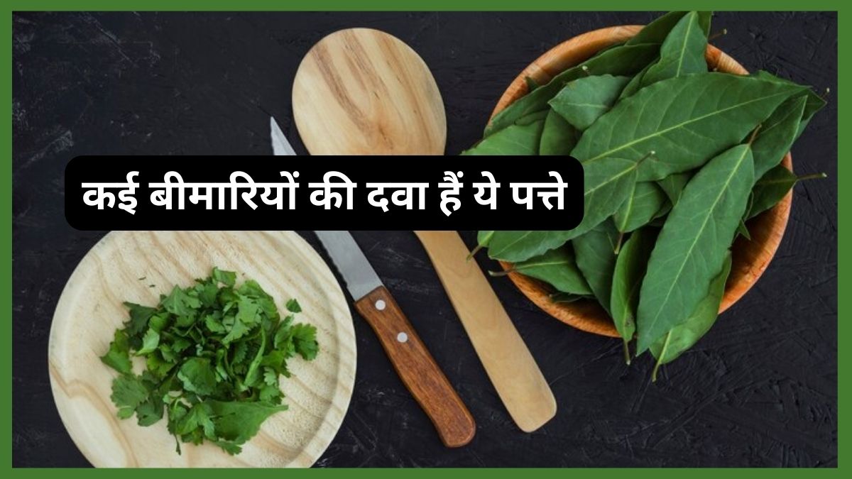 कड़वा नहीं मीठा है ये नीम, सुबह-शाम 3 ग्राम खा लें औषधि बन जाएगा ...