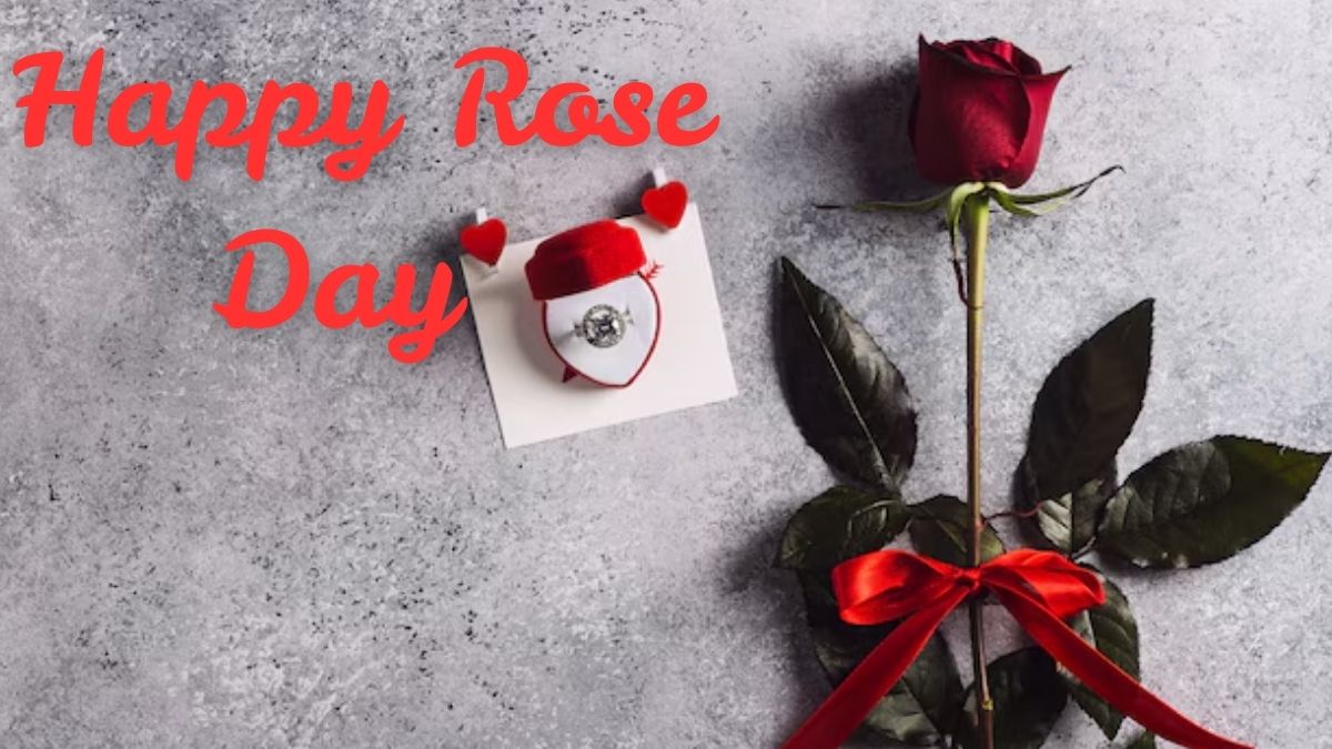 Happy Rose Day 2025: Wishes Images, Quotes, Status, HD Wallpapers, GIF ...