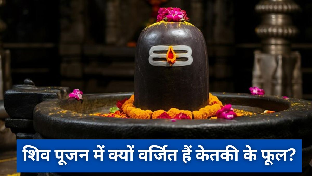 भगवान शिव की पूजा में क्यों वर्जित है केतकी का फूल? जानिए इसके पीछे की ...