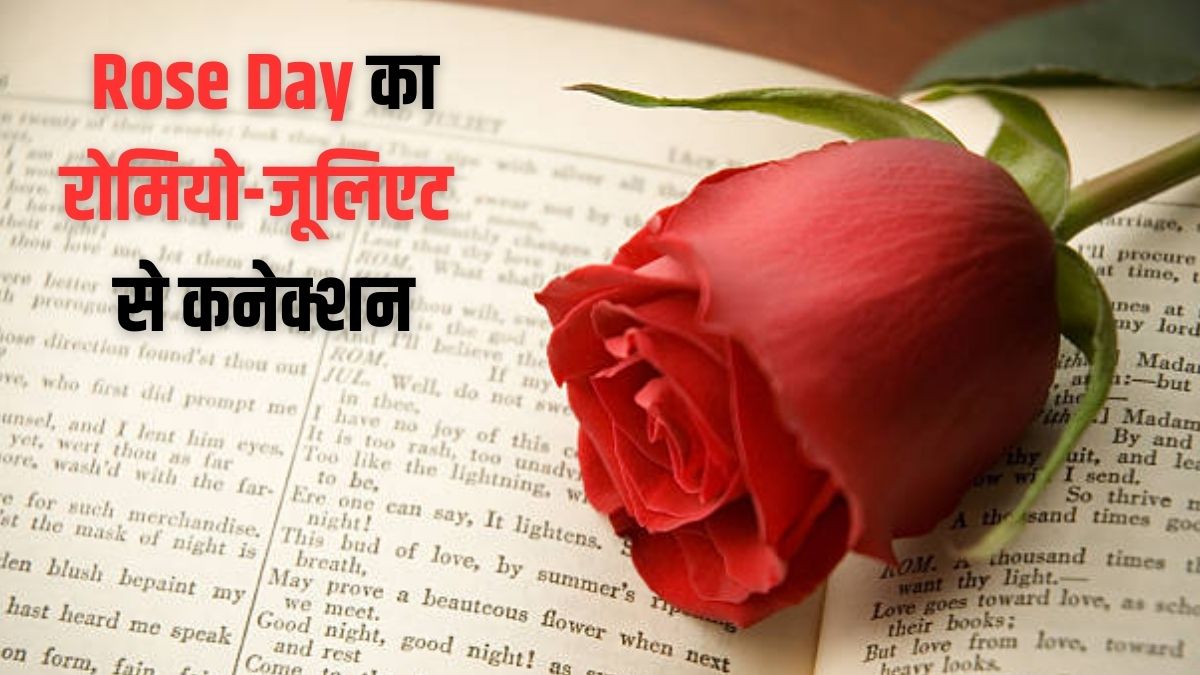 Rose Day 2025 Date, Valentine Week Days List 2025 Rose Day Date ...