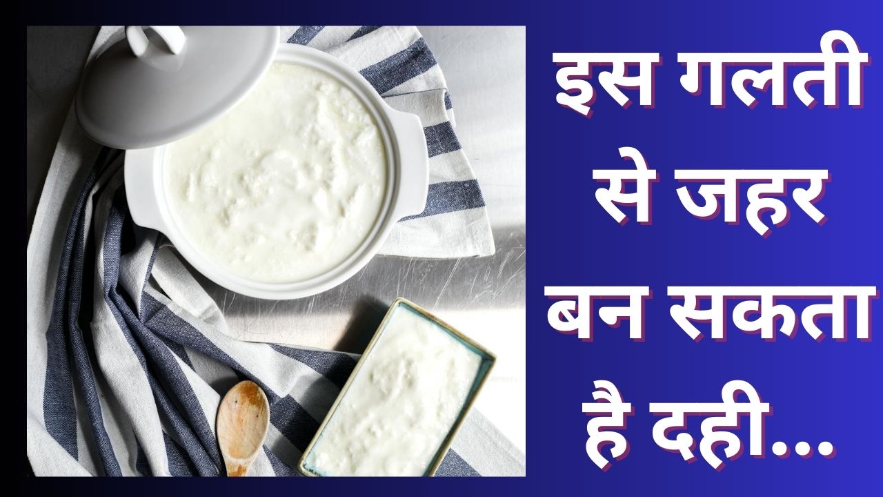 Ayurveda doctor told 3 foods never eat with curd dahi kab aur kise nahi ...