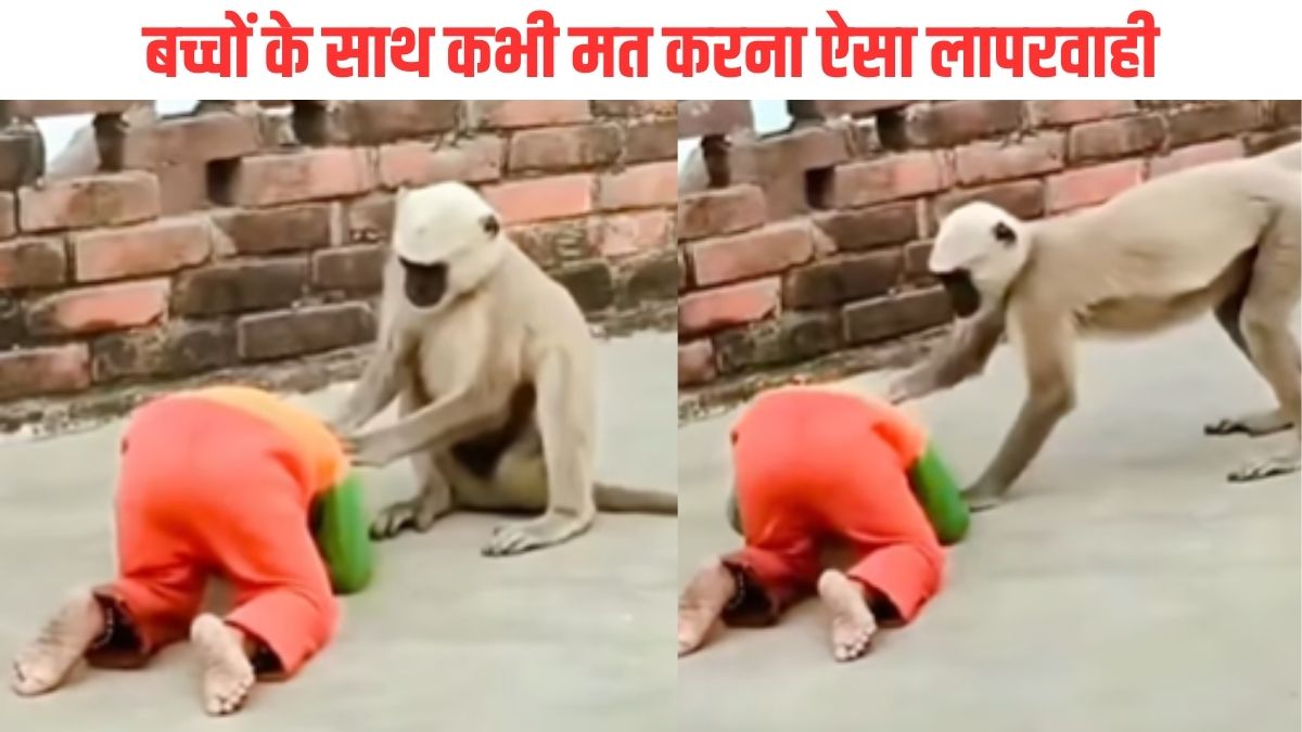 Langoor Attacks toddler while playing on terrace viral video shocks ...