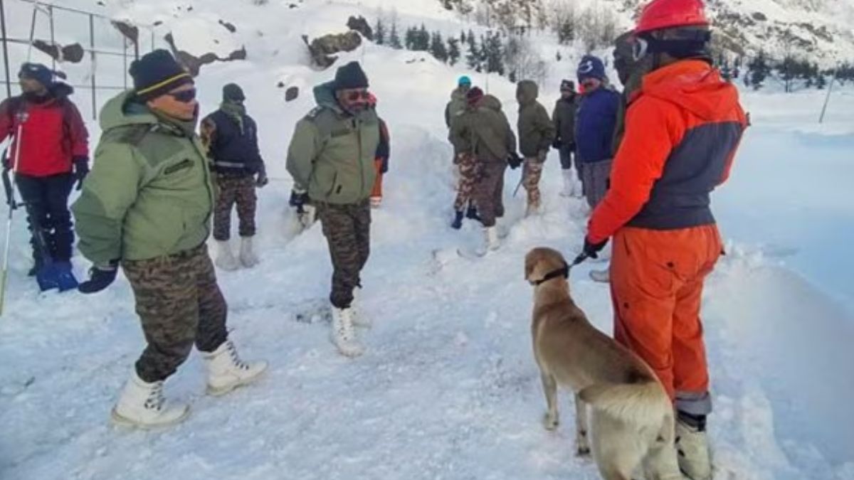 Uttarakhand Chamoli district avalanche Border Roads Organisation Search ...