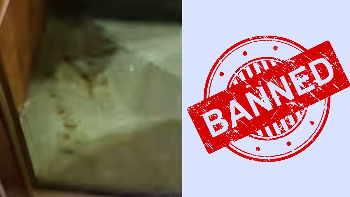 UP Vidhan Sabha Pan Masala Par Ban How Much Fine | यूपी विधानसभा में ...