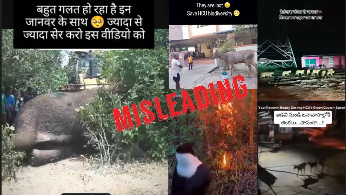 Jansatta Fact check Kancha Gachibowli controversy in Telangana false claim viral video footage ...