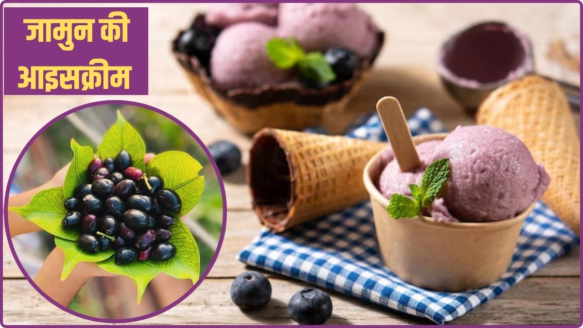 जामुन से आइसक्रीम कैसे बनाएं- Easy Jamun Ice Cream Recipe at home Java ...