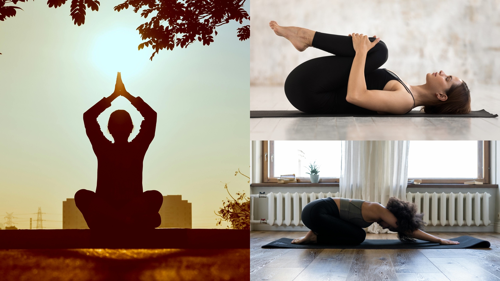 International Yoga Day 2025: 10 Yoga Poses You Should Practice Daily ...
