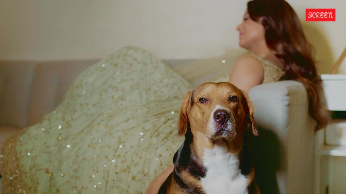 स्कूल के दिनों से की मॉडलिंग, 61 फिल्मों में किया काम, क्या इस साउथ ...