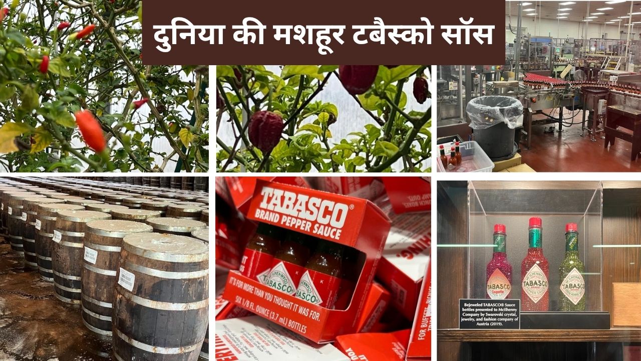 Visit Avery Island: Where world famous Tabasco sauce is made | Jansatta