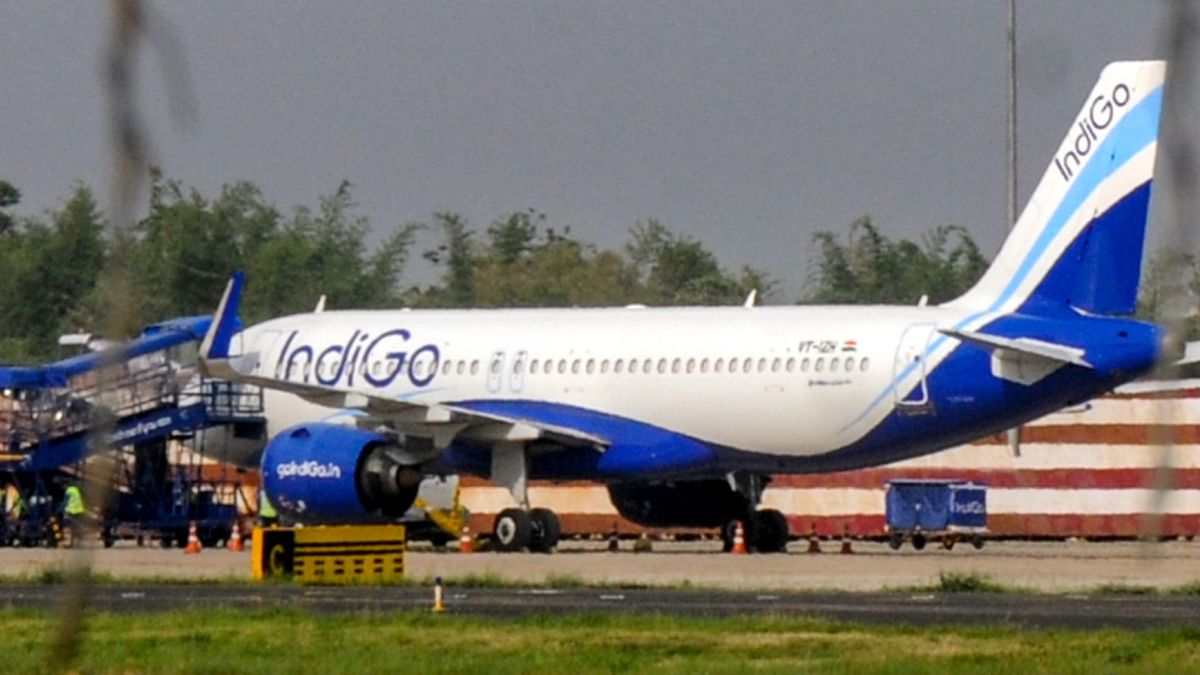 indigo flight hit by vulture makes emergency landing in ranchi airport ...