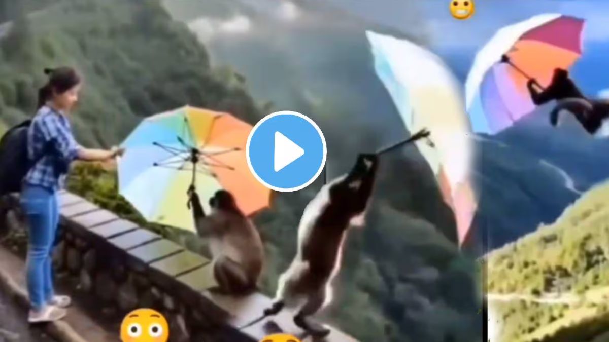 Viral Video girl want to help monkey she gave umbrella in rain but shocking incident- 'मैं कर्म ...