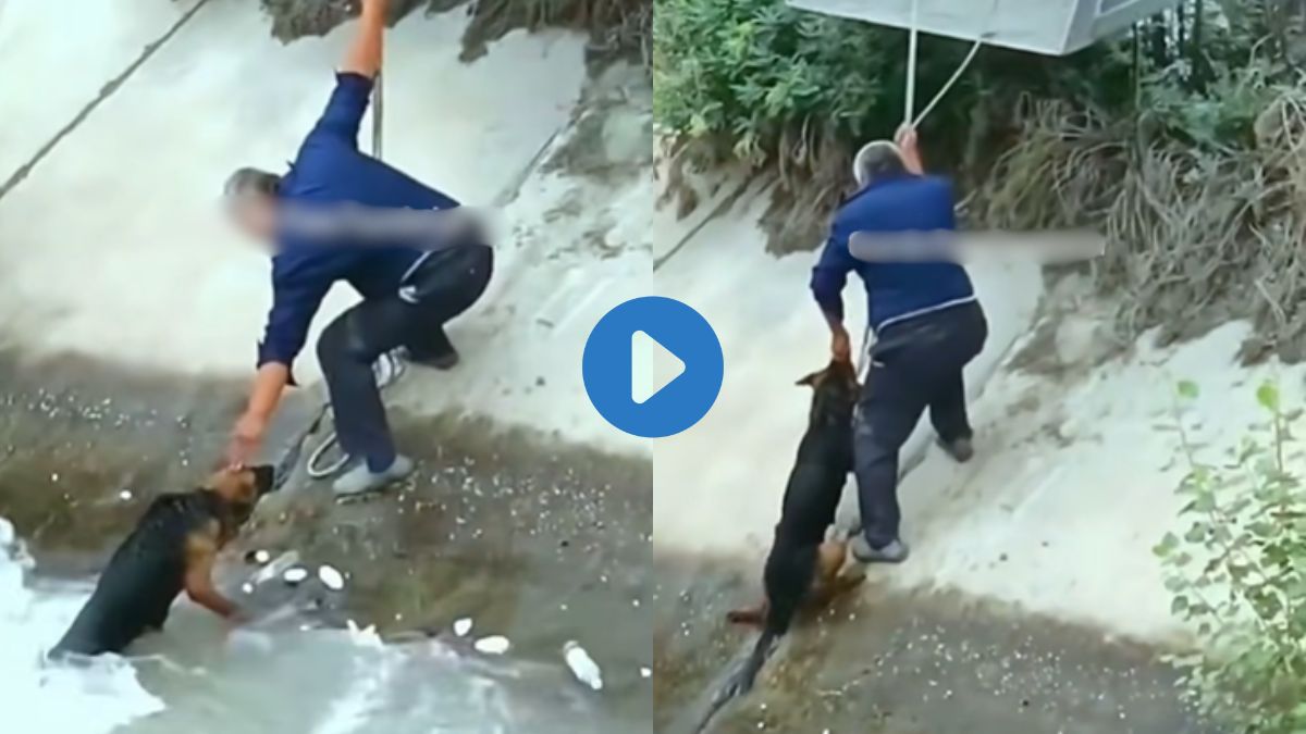 Elderly Man rescues dog who got stuck in flood viral video made ...