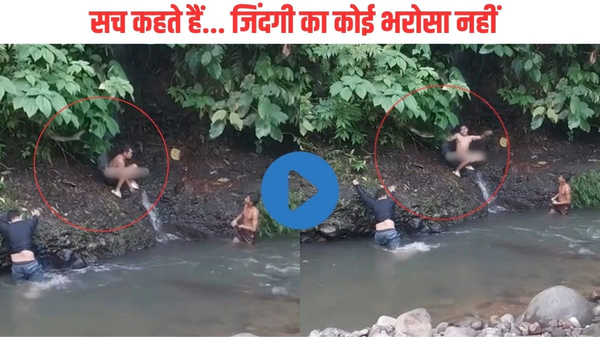 Python Attacks men taking bath in river viral Video Shocks netizens - नदी में नहा रहे थे चार ...